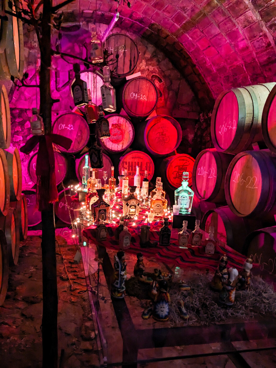 Tequila Jalisco Tour - The BEST Day Trip From Guadalajara - What Amy Says