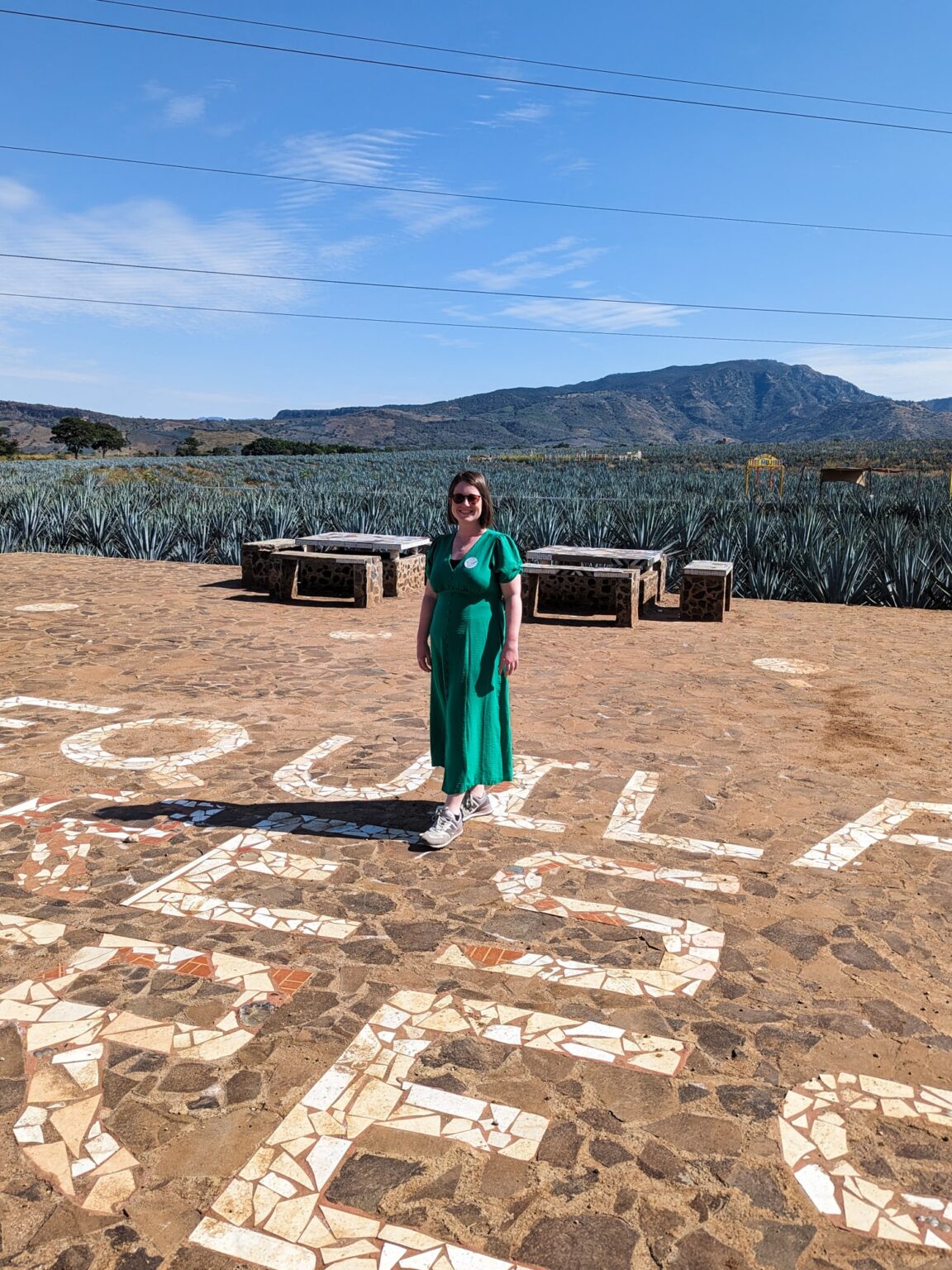 Tequila Jalisco Tour - The BEST Day Trip From Guadalajara - What Amy Says
