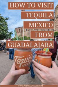 Tequila Jalisco Tour - The BEST Day Trip From Guadalajara - What Amy Says