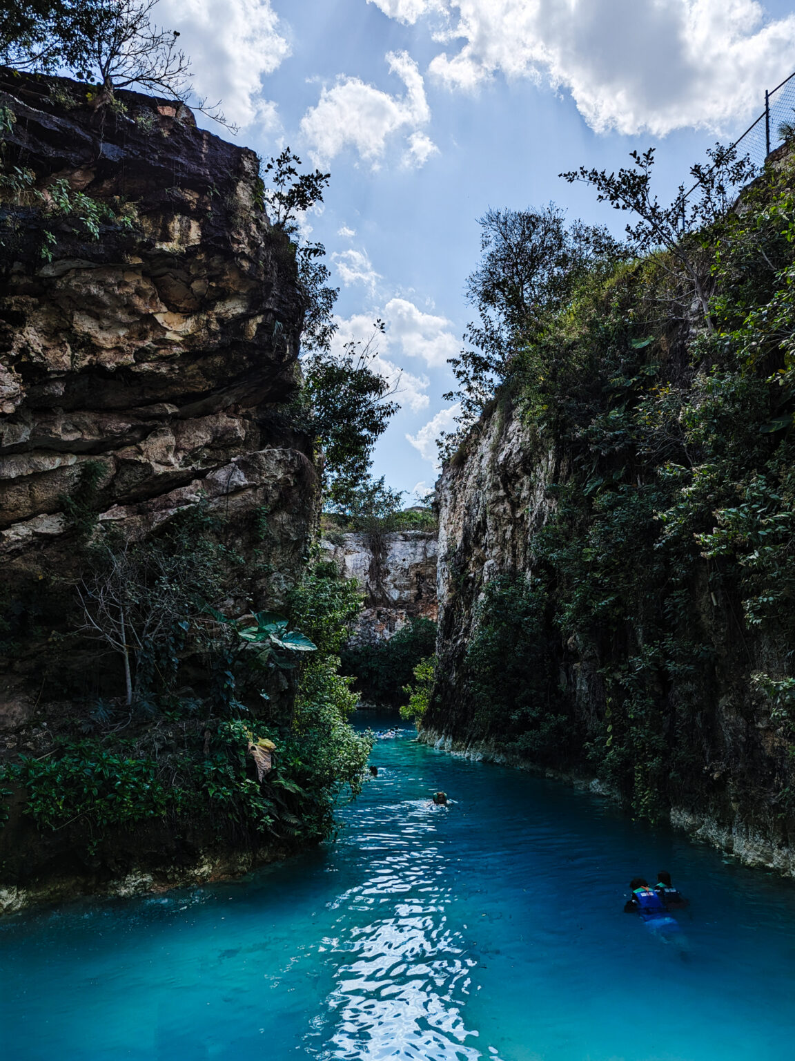 Santa Barbara Cenotes - Everything You Need to Know - What Amy Says