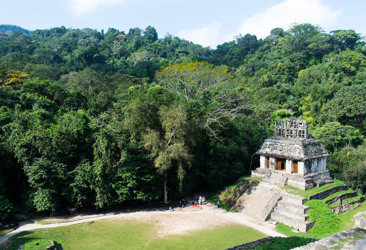 What to Do in Palenque: Perfect Two-Day Itinerary - What Amy Says