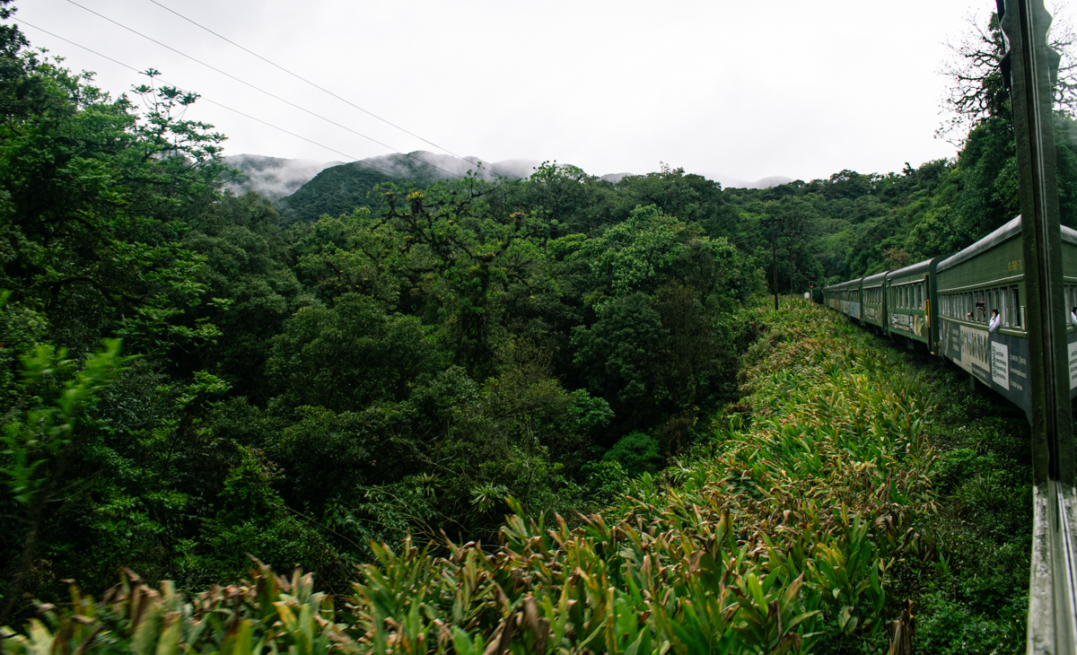 Serra Verde Express: An Amazing Journey From Curitiba to Morretes ...