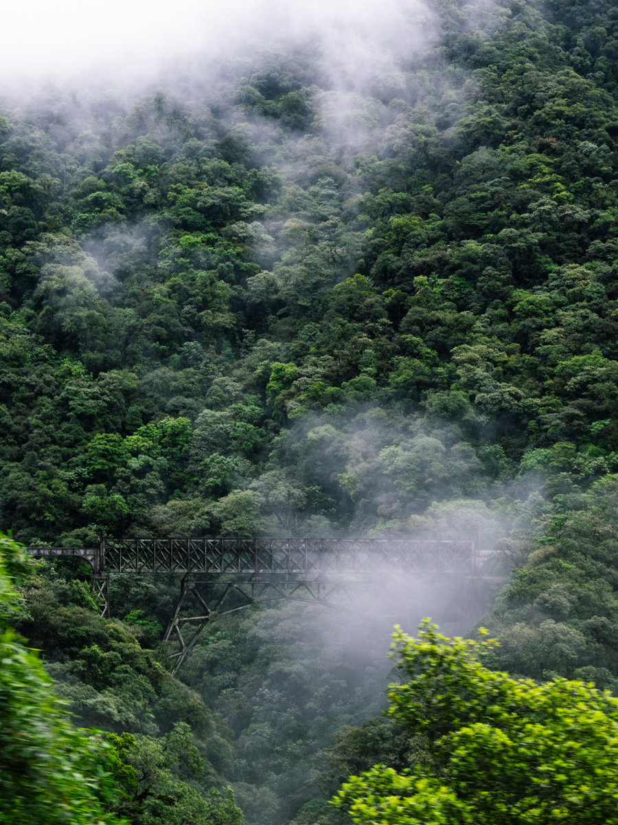 Serra Verde Express: An Amazing Journey From Curitiba to Morretes ...