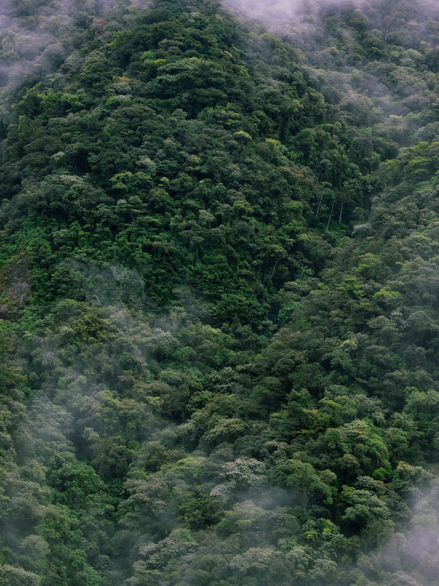 Serra Verde Express: An Amazing Journey From Curitiba to Morretes ...