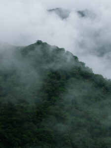 Serra Verde Express: An Amazing Journey From Curitiba to Morretes ...